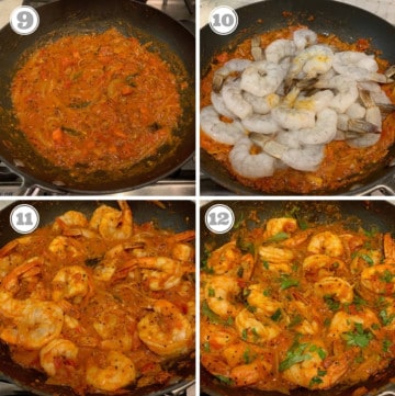 Spicy Malabar Shrimp Curry - Ministry of Curry