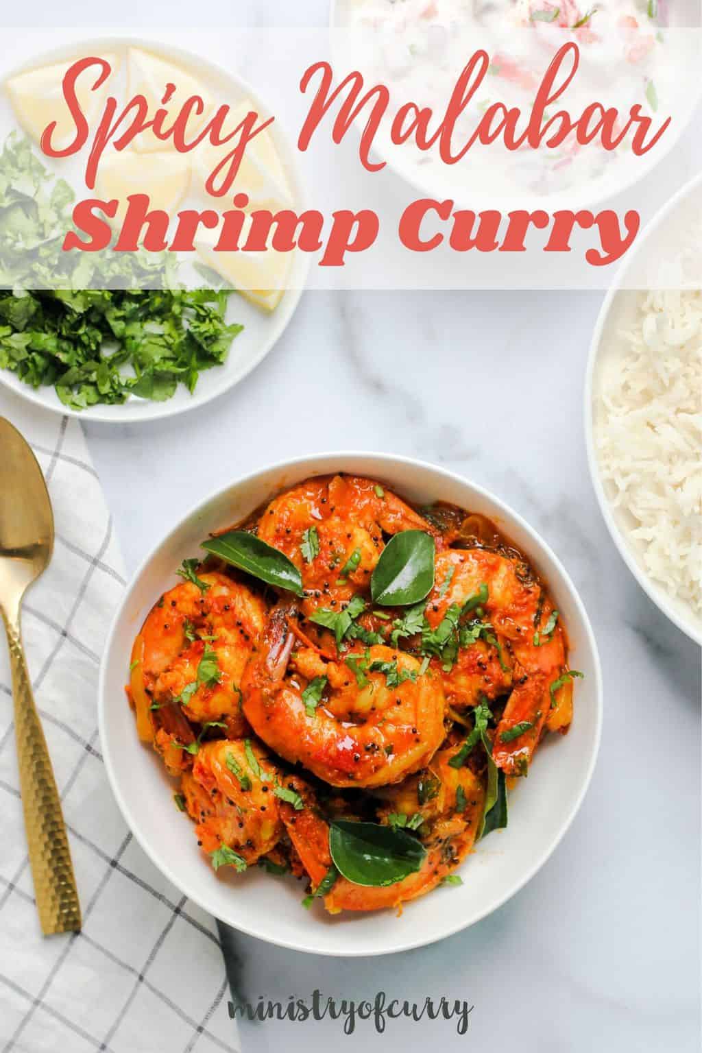Spicy Malabar Shrimp Curry - Ministry of Curry