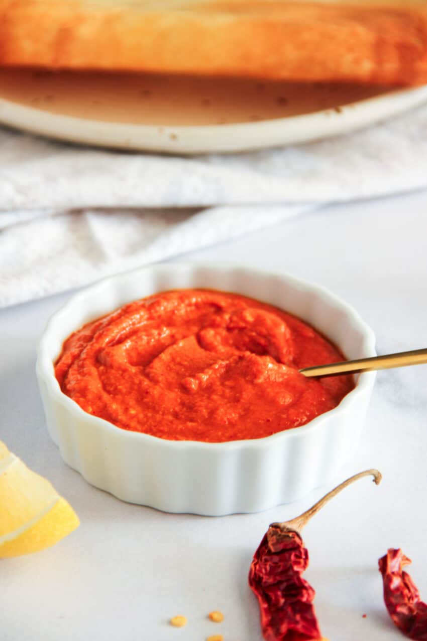 Red Dosa Chutney | Mysore Dosa Chutney - Ministry of Curry